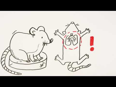 Minute Lecture: A new approach to tackle lung disease