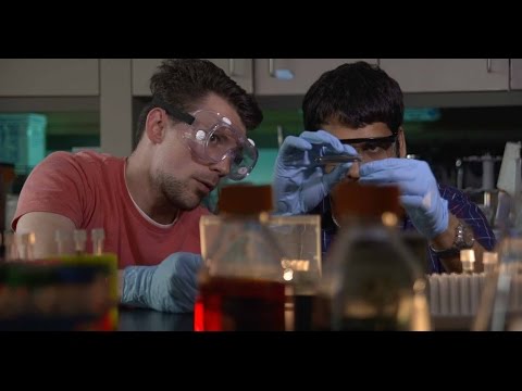 Quinnipiac Master’s Programs in Medical Laboratory Sciences and Molecular and Cell Biology