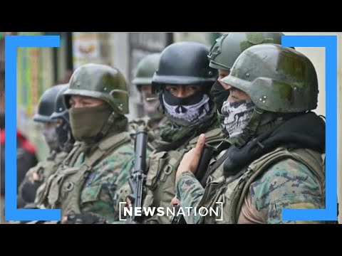 Ecuador drug lord's prison escape shows shift to 'narco-terrorist threat': Expert | NewsNation Now