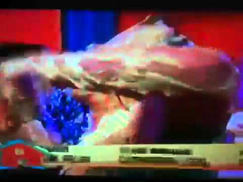 Sarah cox covered in custard