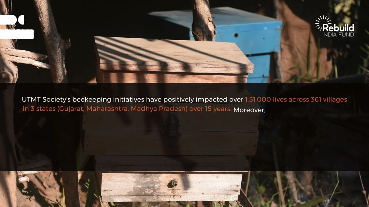 Rebuilding Lives with Bees: Collaborating for Sustainable Livelihoods | Under the Mango Tree (UTMT)