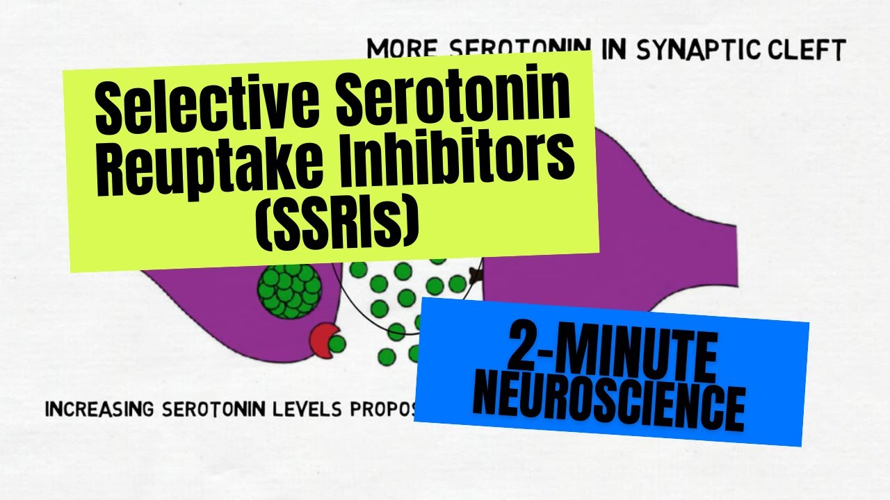 2-Minute Neuroscience: Selective Serotonin Reuptake Inhibitors (SSRIs)