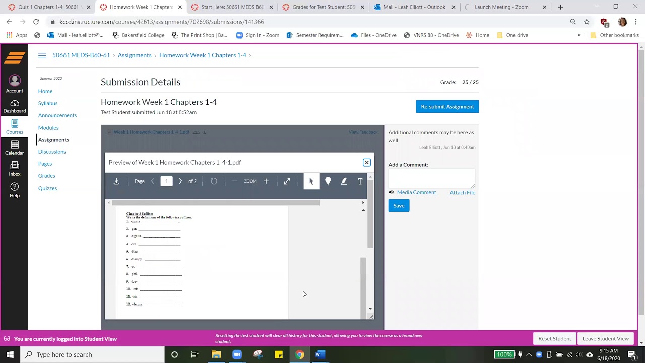 How to submit and assignment and review feedback in Canvas