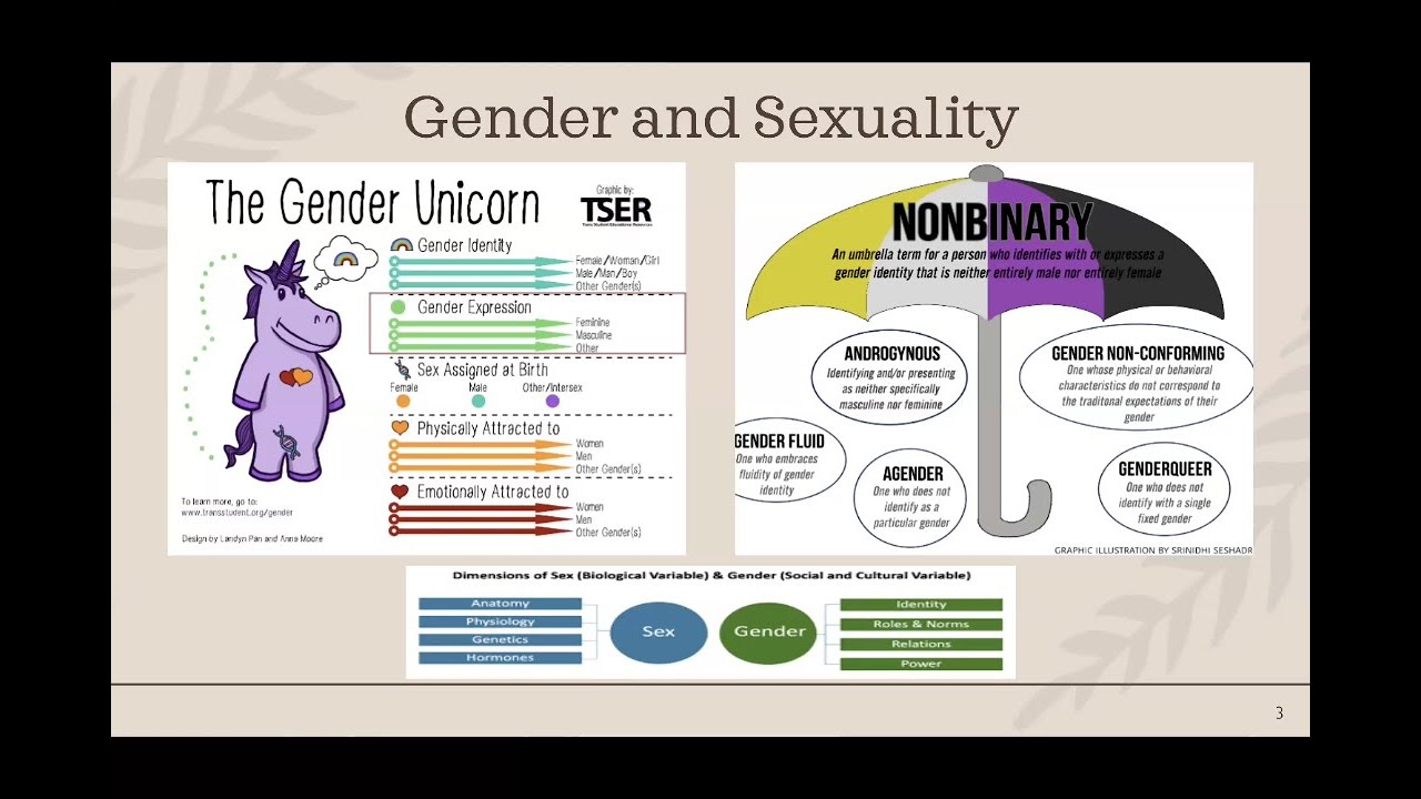 Understanding Intersectionality: Gender and Sexuality Explained | Galaxy.ai