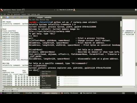 Reversing and Malware Analysis Training - Rootkit Analysis Demo4 (carberp)