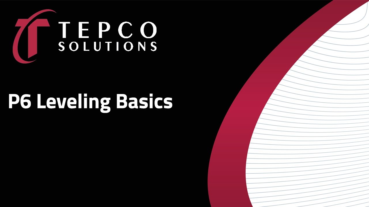 P6 Leveling Basics