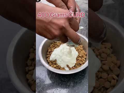 German Shepherd Puppy Diet 32 Days to 2 Years #diet #protein #trending #dogs #shorts