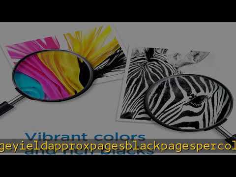 HP 923 Black, Cyan, Magenta, Yellow Ink Cartridges for Printers (4-Pack) | Works with Printer Serie