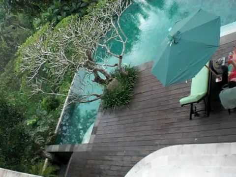 Natura Villa Resort and Spa Ubud Bali