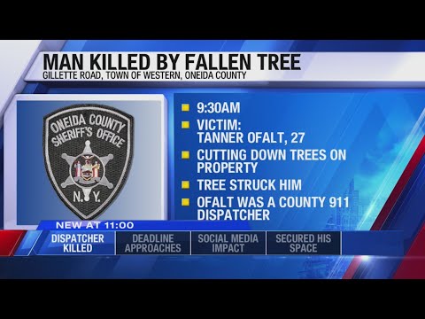 Oneida County dispatcher killed after tree falls on him