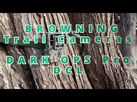 How we set up and use our Browning Trail-Cams