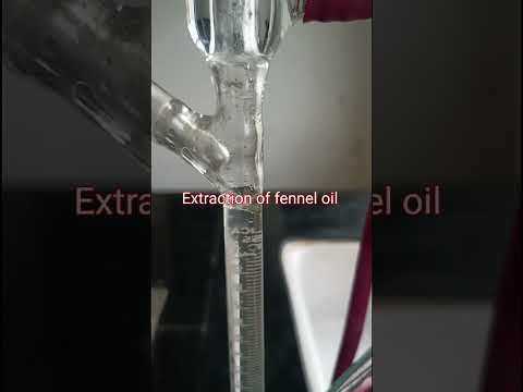 Extraction of fennel oil by using clevenger apparatus | @Professional pharmacy 1|Clevenger assembly