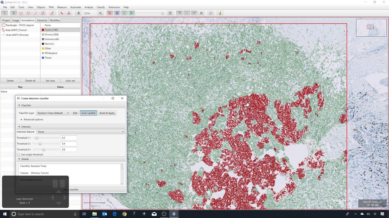 22 - Training a cell classifier