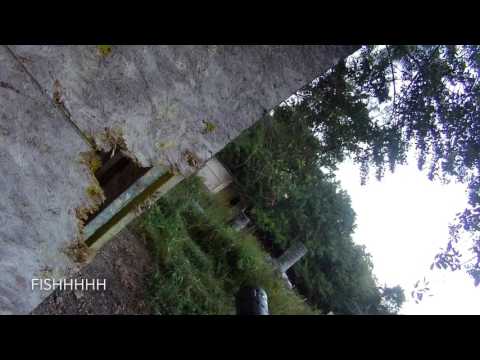 Miami Matrix Tactical paintball 6 kills