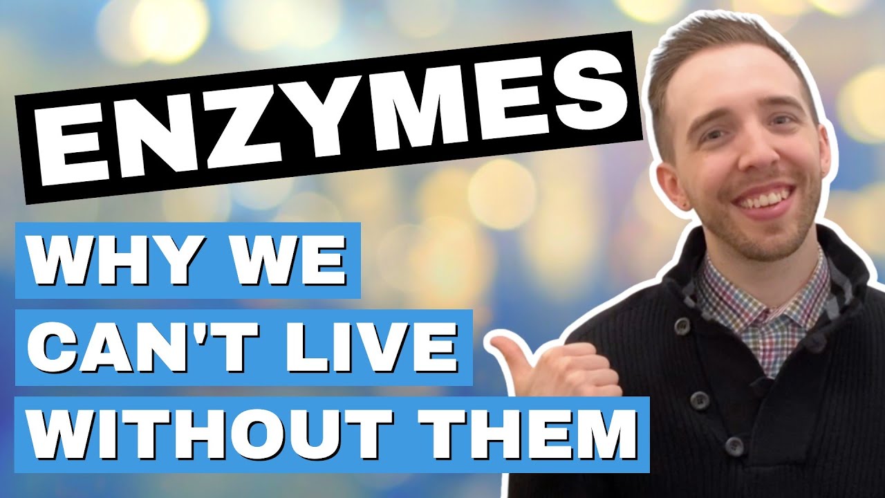 Introduction To Enzymes Biology - What Are Enzymes And How Do Enzymes Work?