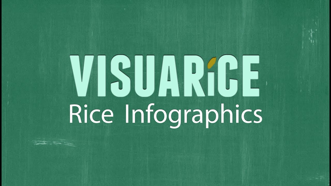 Rice Infographics- Rice: from breeding to plate