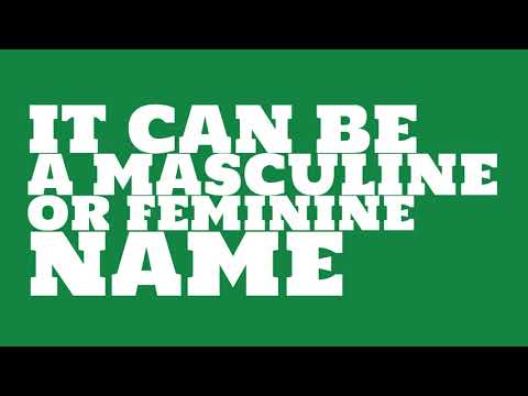 What does the name Evelyn mean?