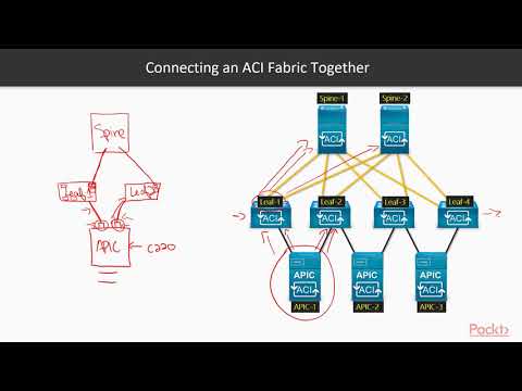 Cisco Application Centric Infrastructure ACI Tutorial - Mind Luster