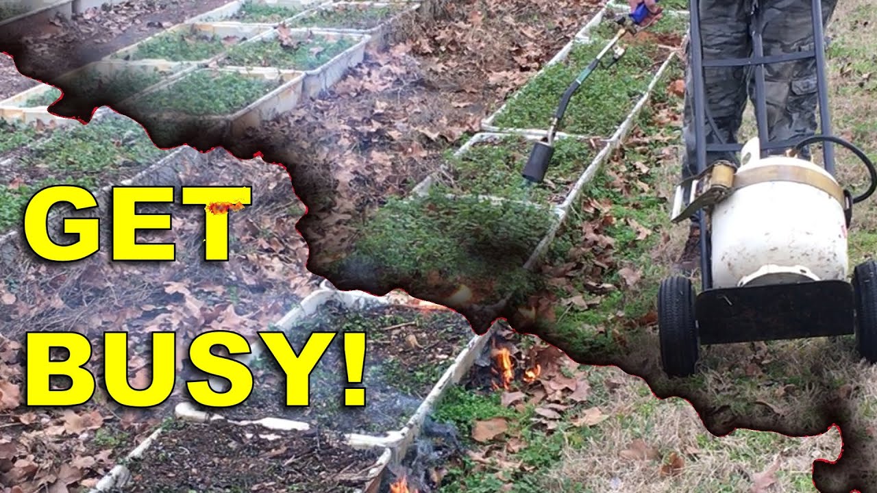 GARDEN PREP IN RAISED BEDS     #raisedbedgarden #raisedbedgardening #raisedbeds