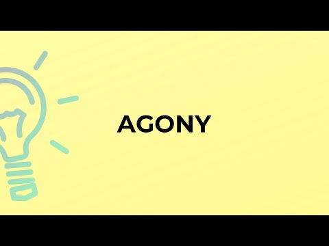 What is the meaning of the word AGONY?