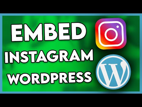 How to Embed Instagram Feed on Wordpress (Step By Step)