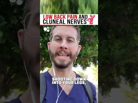 Low back pain and cluneal nerves