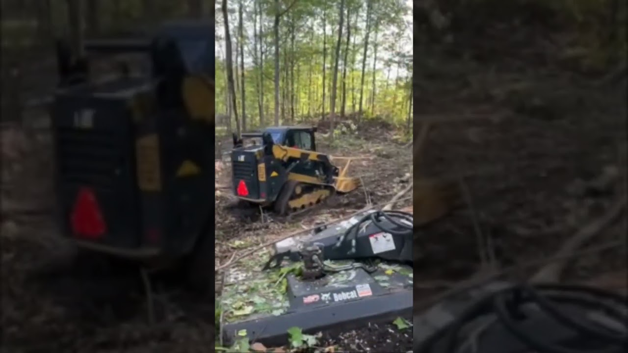 CAT 259D Disc Mulching | Residential Property #shorts