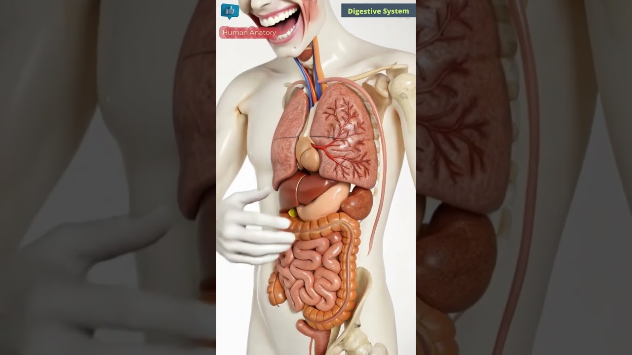 Human Anatomy | Bio AI Art | 18