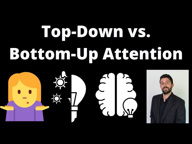Understanding Top Down vs. Bottom Up Attention | Galaxy.ai | Galaxy.ai