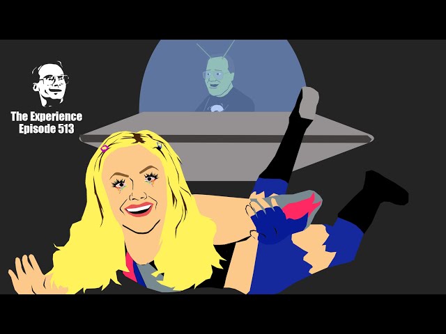 Liv Morgan looked pretty in her mug shot following her arrest in ...