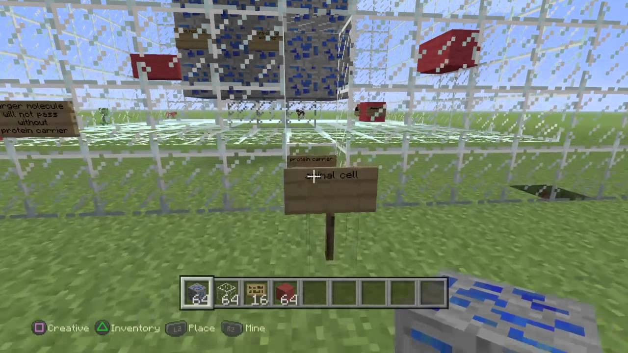 Using minecraft to model an animal cell