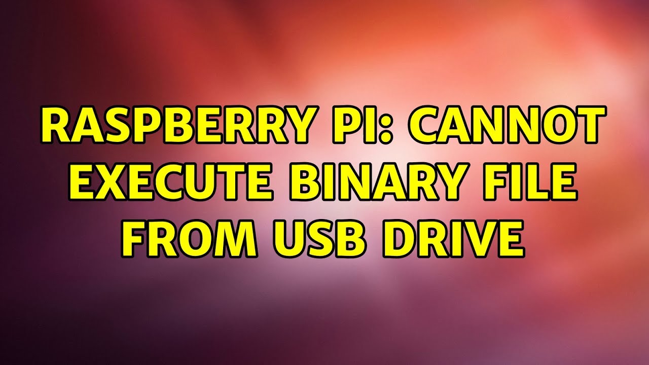 Raspberry Pi: Cannot execute binary file from USB drive