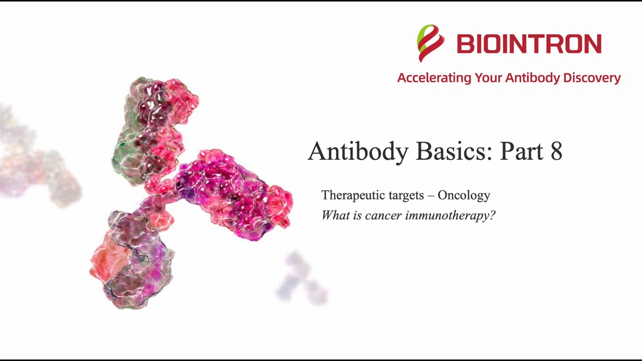 Antibody Basics: Part 8 - Therapeutic targets - Oncology: What is cancer immunotherapy?