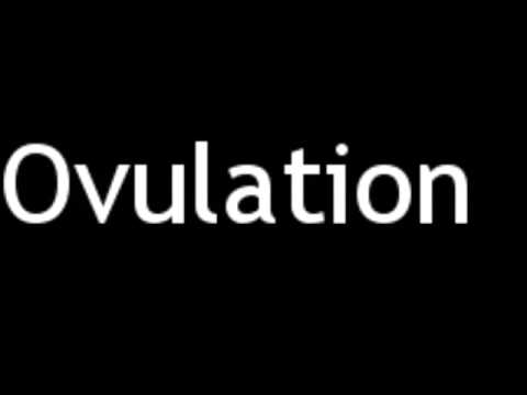 How to Pronounce Ovulation