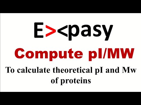 How to calculate isoelectric point & molecular weight of a protein | Expasy's compute pI/MW tool