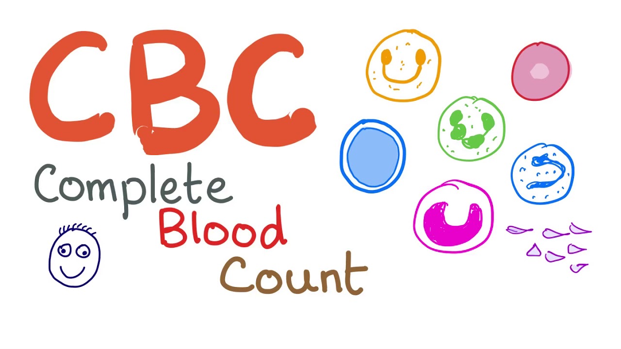 Complete Blood Count (CBC) - Lab Results - Hematology
