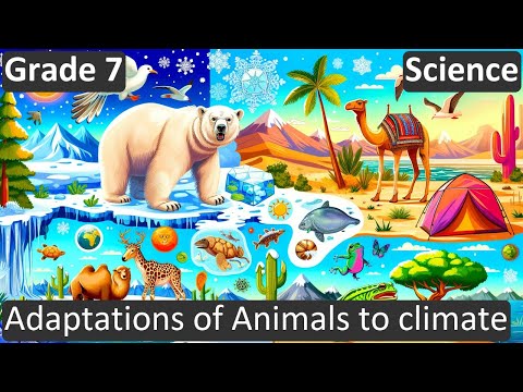 Adaptations of Other Polar Region Animals Video Lecture - Class 7