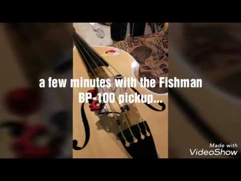 Fishman BP-100-B-Pickup iMuso