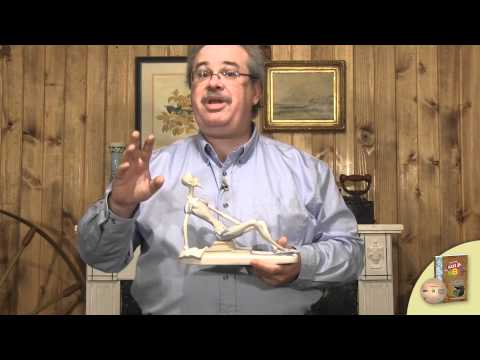 Buying Lladro - Real and Fake and The Live Auction