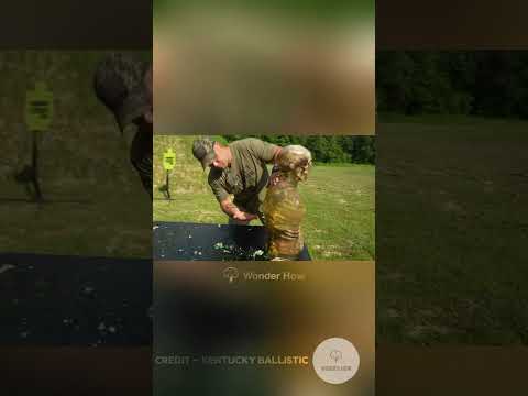 Human VS World's most powerful Gun #facts #interestingfact #experiment #guns #firearms #ballistics