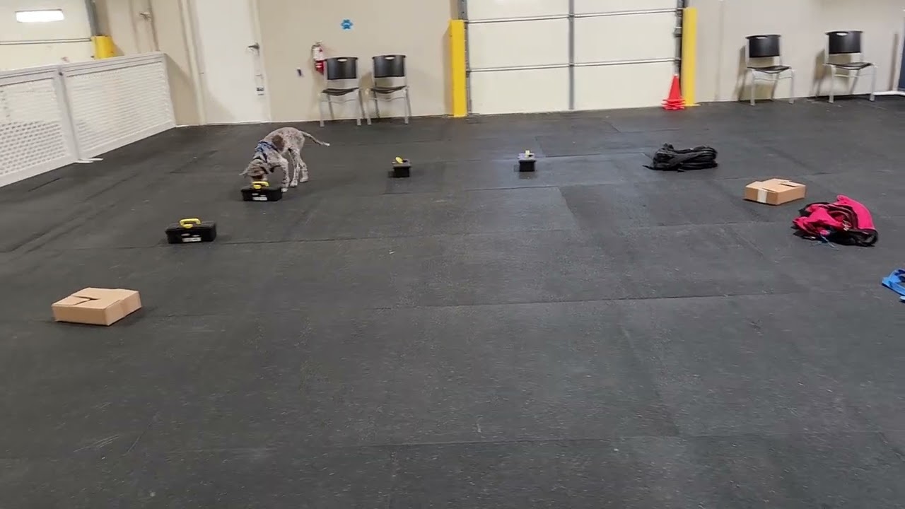 Astra containers using shape