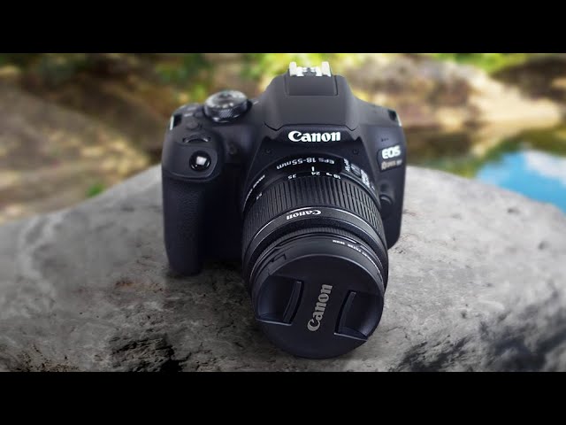 5 best DSLR cameras for beginners