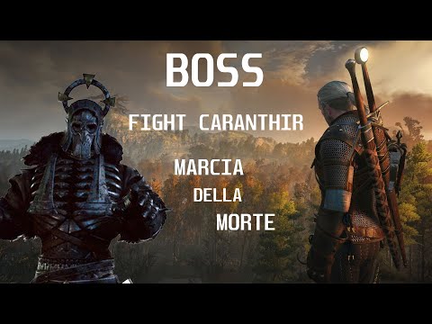 Steam Community :: Video :: The Witcher 3 - Caranthir Boss Fight ...