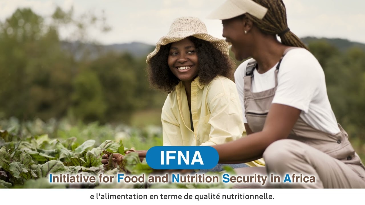 Celebrating 10 Years of AUDA-NEPAD & JICA Partnership under TICAD!