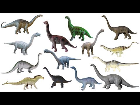 Sauropod Dinosaurs - Brontosaurus, Apatosaurus, Diplodocus - The Kids' Picture Show (Learning Video)