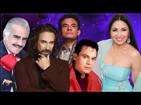 ANA GABRIEL, MARCO ANTONIO SOLÍS, VICENTE FERNANDEZ, JUAN GABRIEL, JOSE JOSE ÉXITOS SUS MEJORES