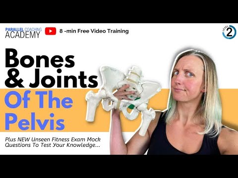 Bones And Joints Of The Pelvis