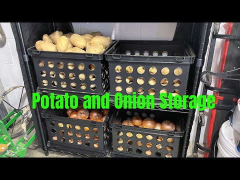 How I Store my Potatoes and Onions!!!