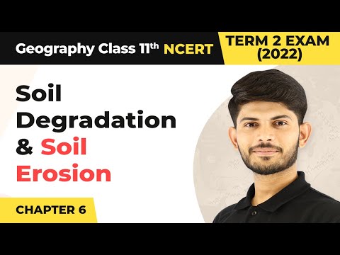 Class 11 Geography Chapter 6 | Soil Degradation and Soil Erosion - Soils