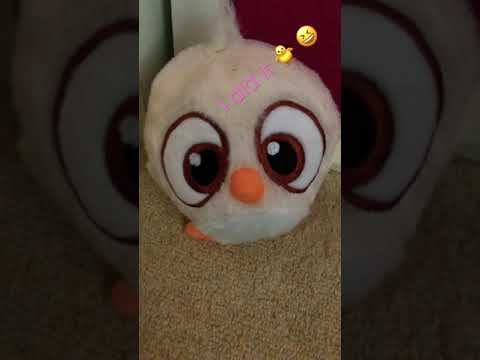 Factor pairs up to 100 part 2 naughty chickenš„